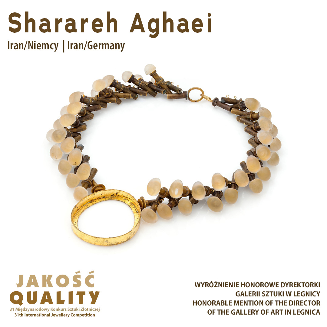 Sharareh Aghaei wins an Honorable Mention of the director of the ...