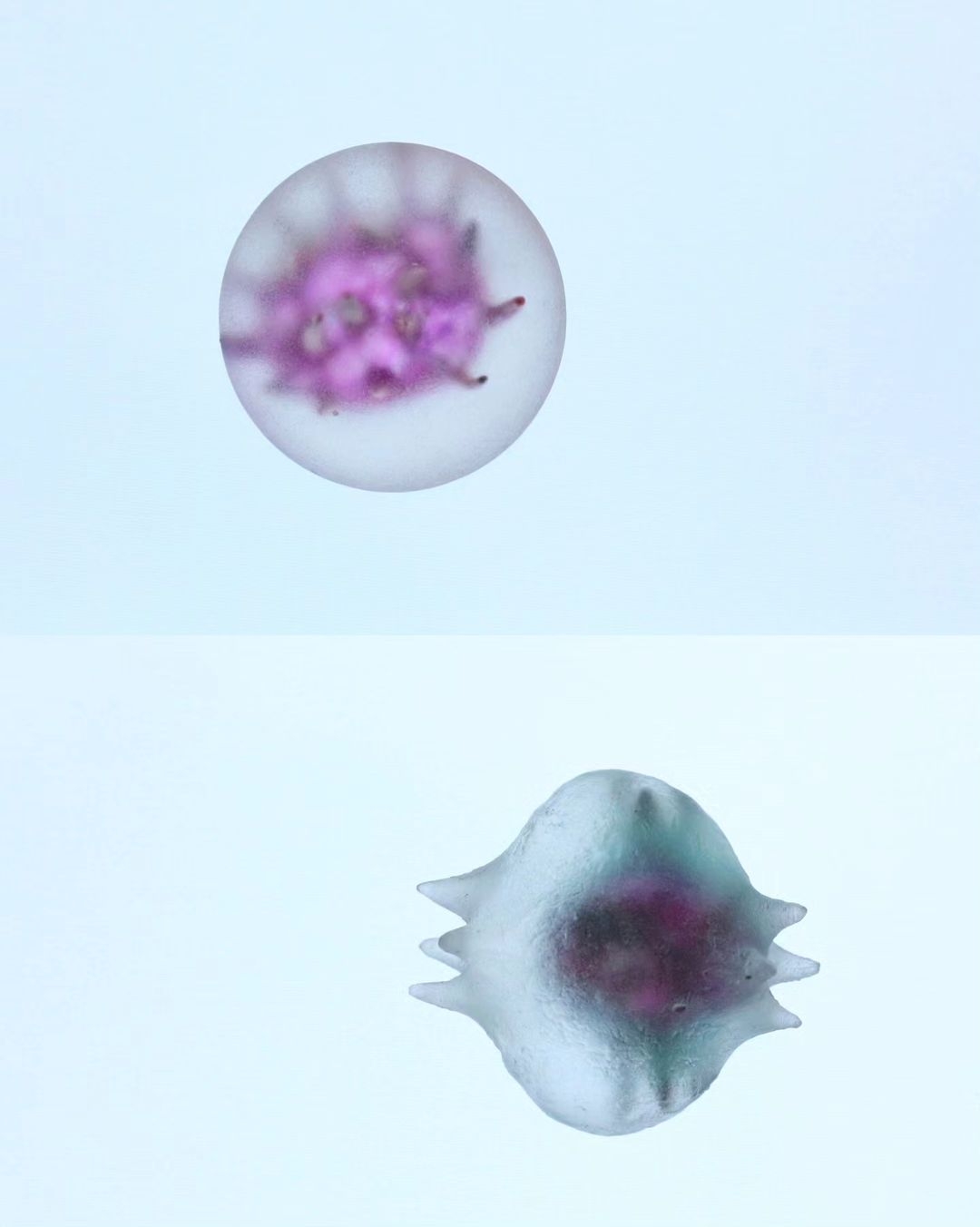 Xihan Zhai: Fogged by Fog - Solo exhibition in Shanghai