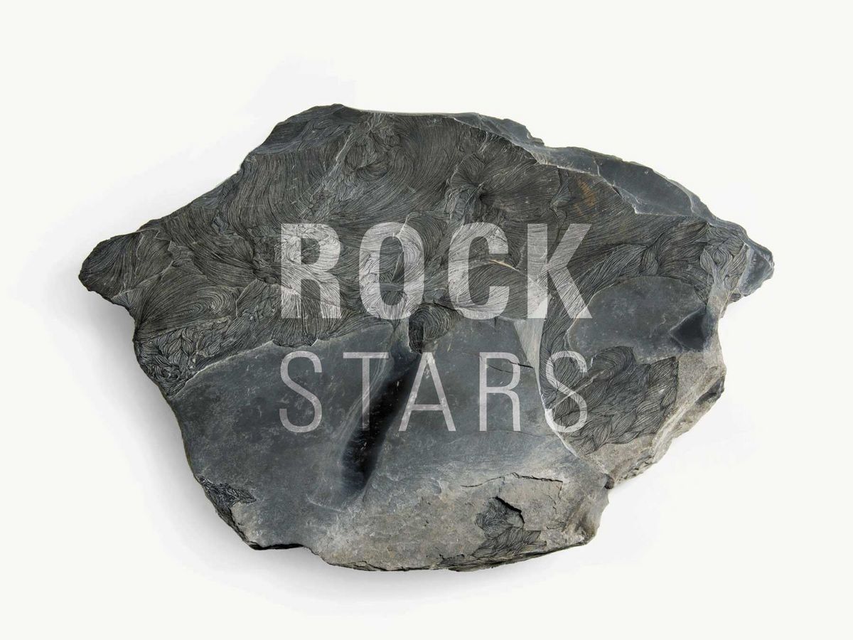 ROCKstars: Exhibition extended!